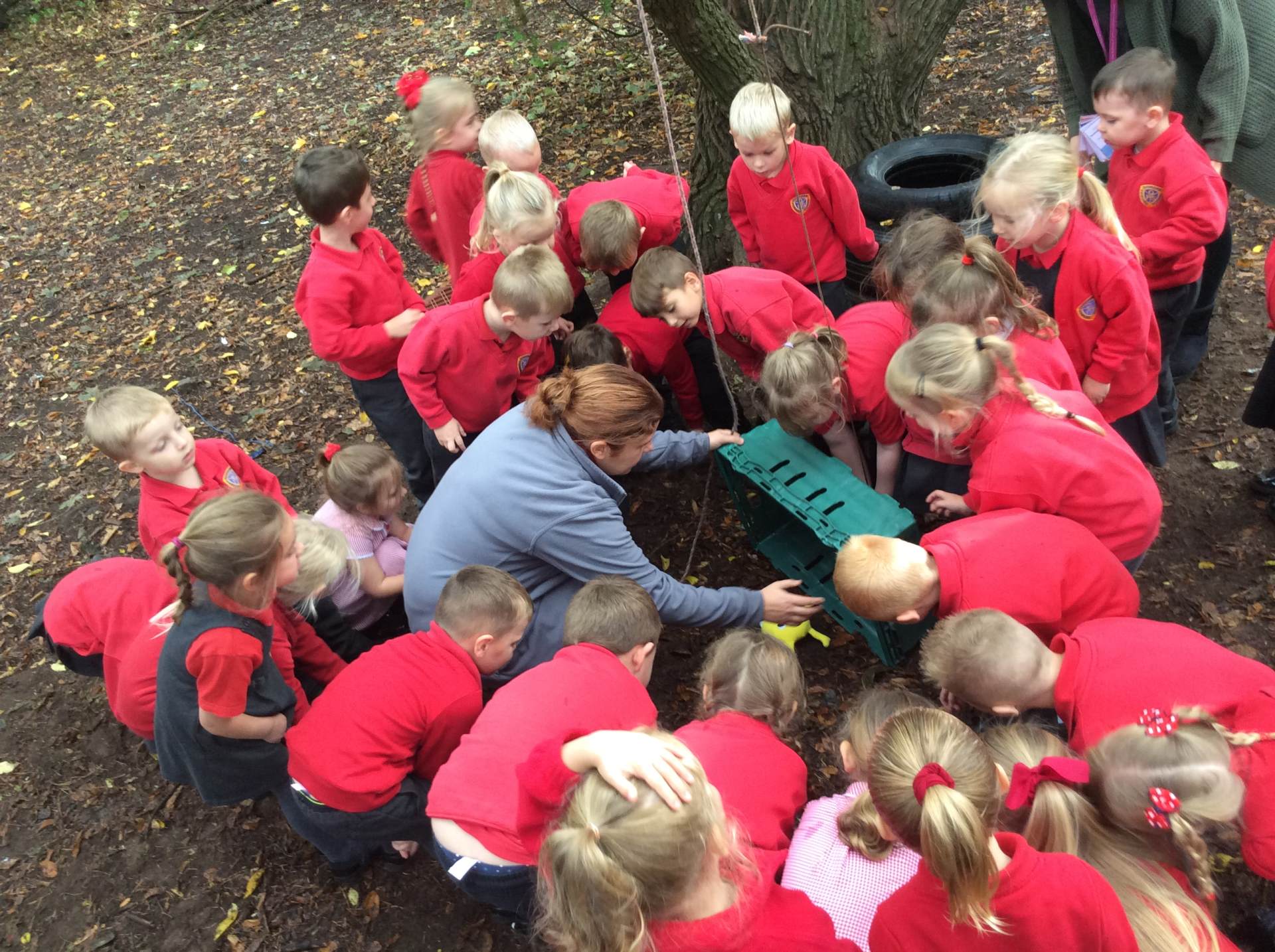 Offmore Primary School - Reception - Sparrows